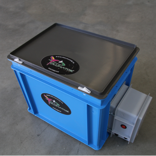 Pollinators (Diversos) - Magic Soils